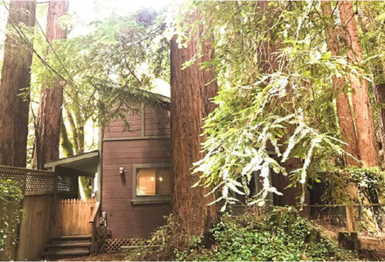 Cozy Creek-Side Cabin (3 or 4 nights) - Founder's Day